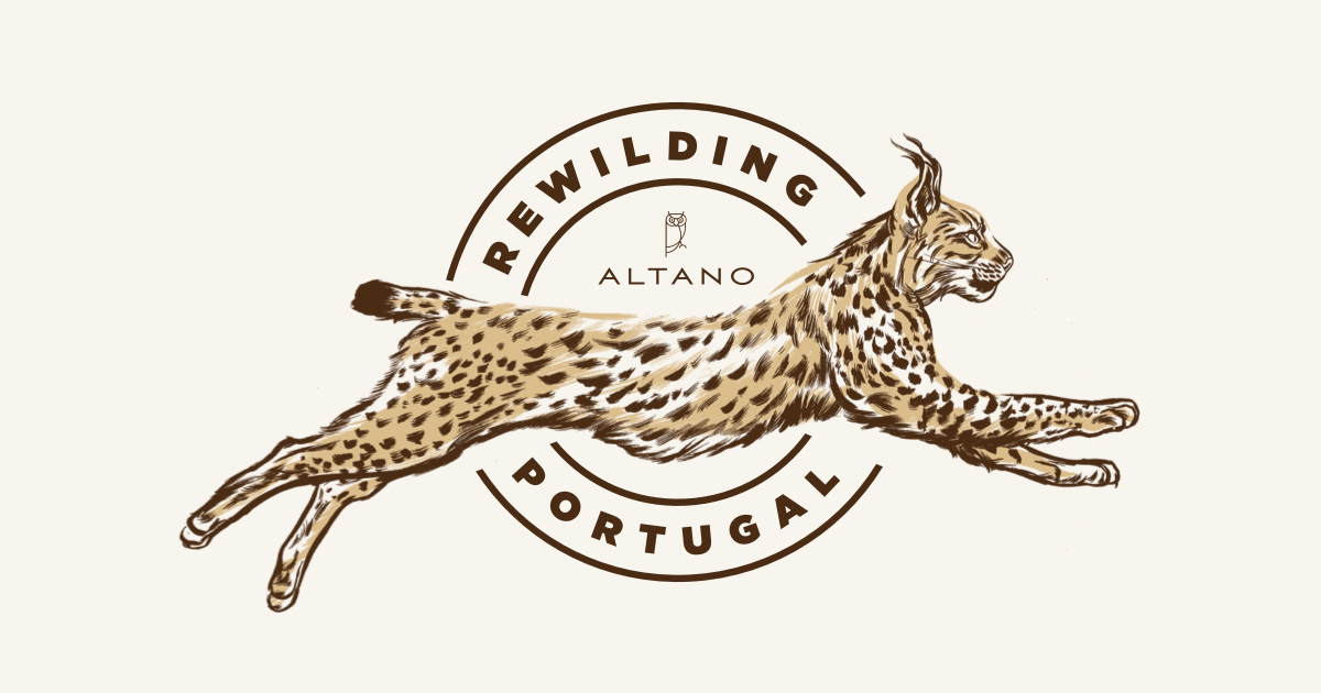 Symington Family Estates